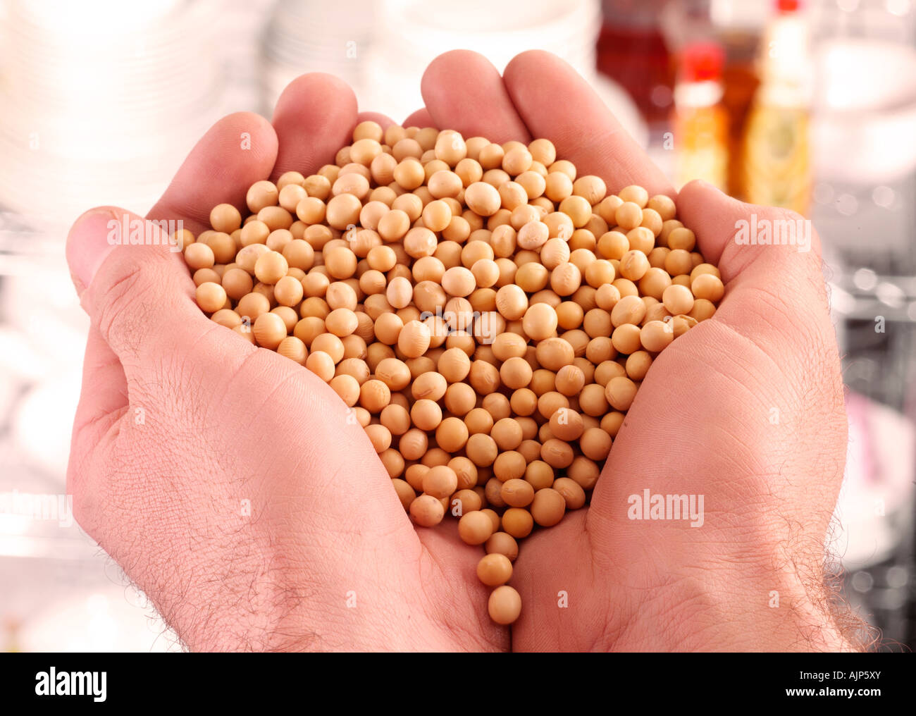 HOLDING DRIED SOYA BEANS Stock Photo - Alamy