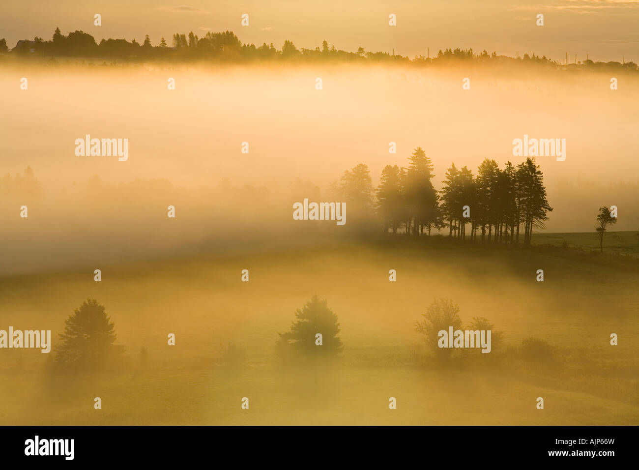 morning mist, New Glasgow, Prince Edward Island, Canada Stock Photo - Alamy