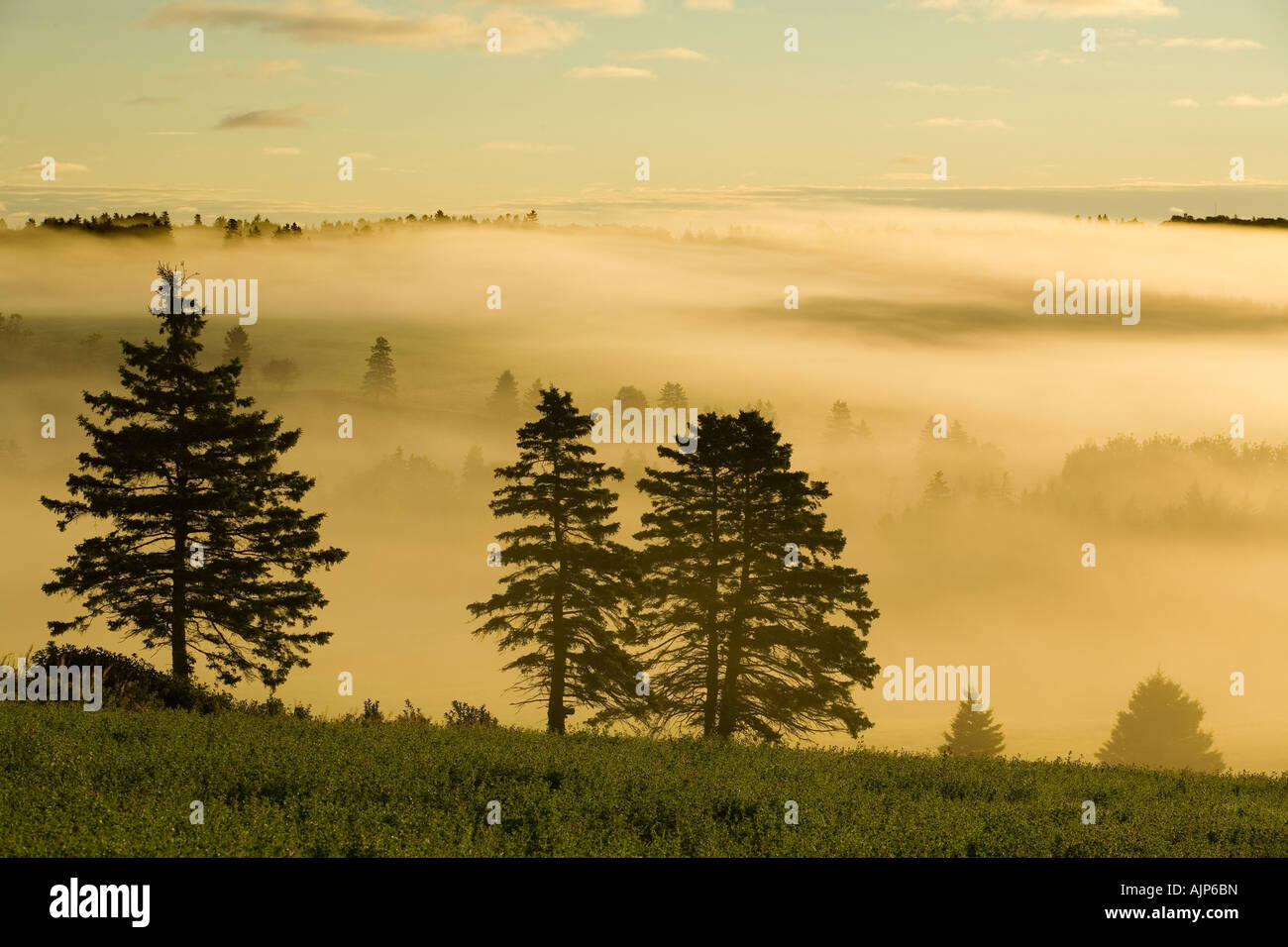 morning mist, New Glasgow, Prince Edward Island, Canada Stock Photo - Alamy