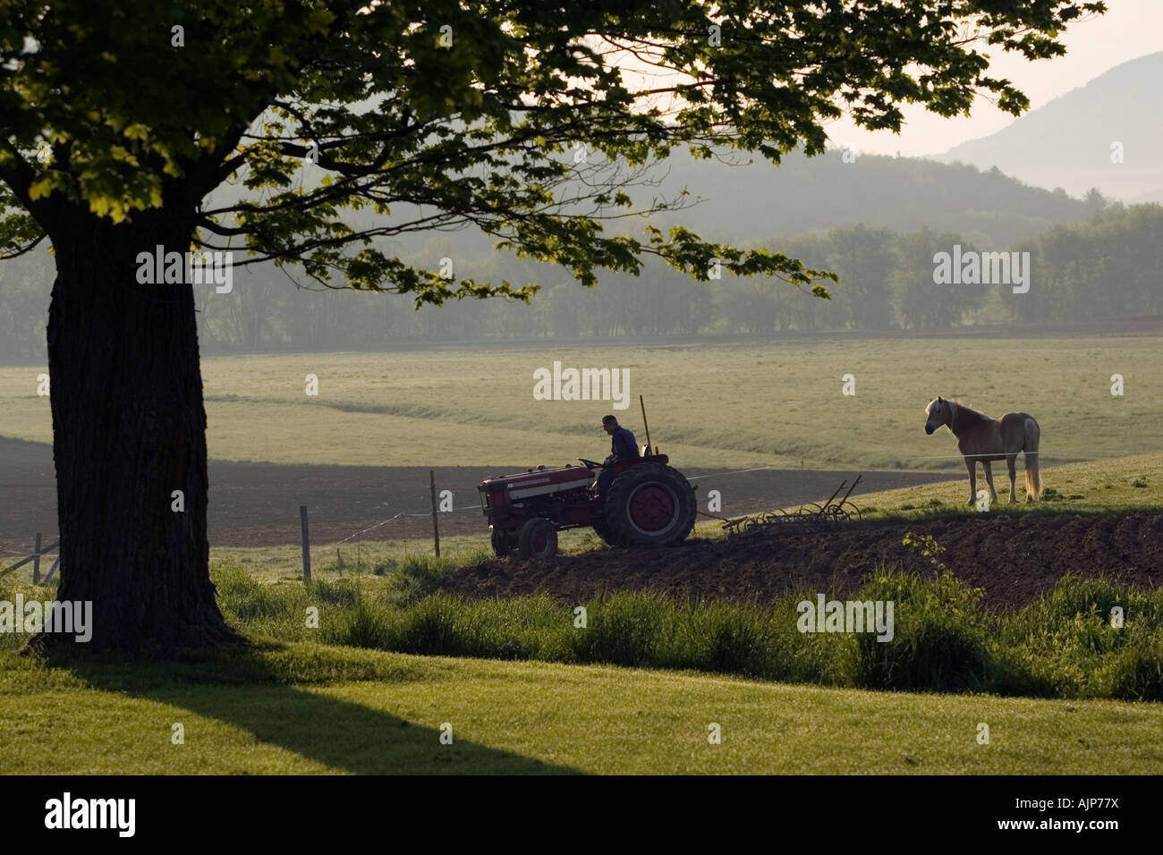 Vermont farmer horse plowing farm spring springtime agriculture hi-res ...
