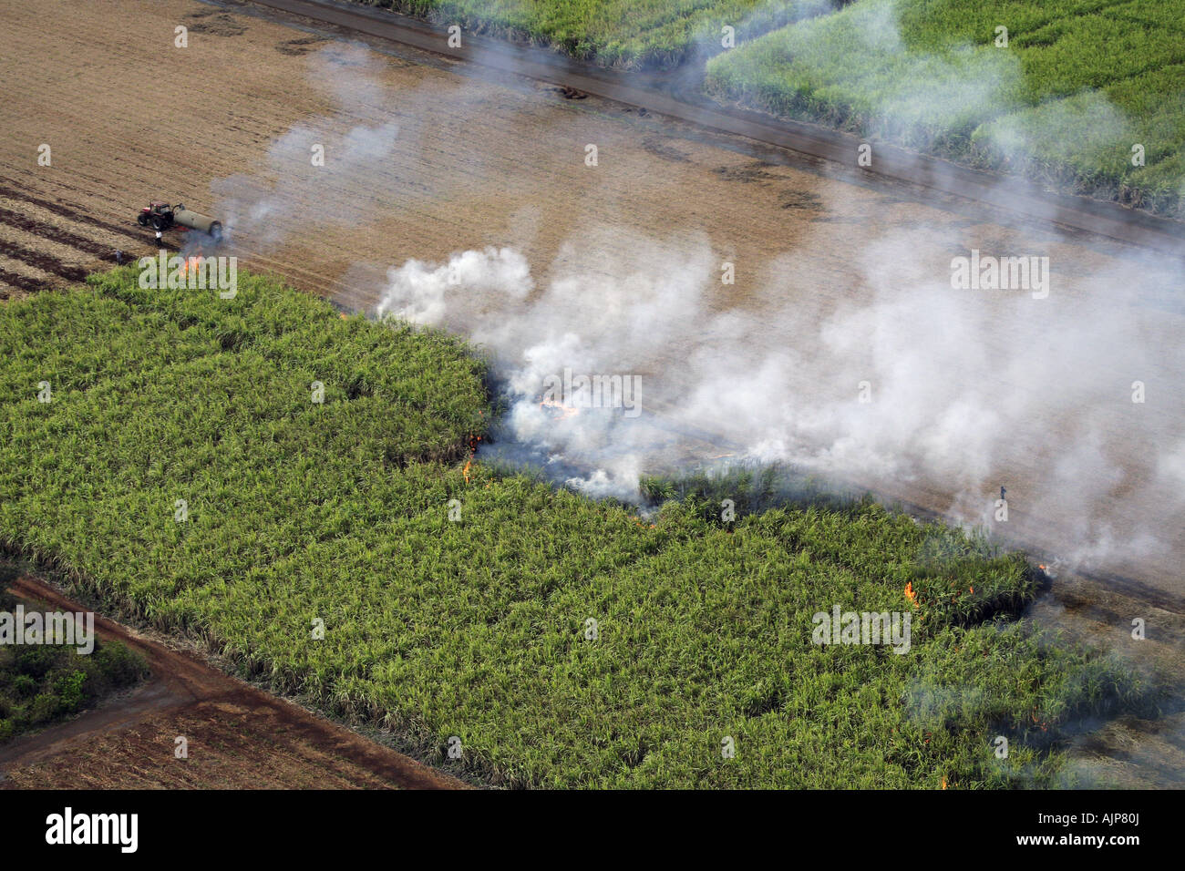 Burning sugar cane harvest field hi-res stock photography and images ...