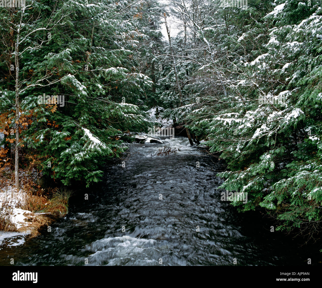 Stream in winter, eastern townships, Quebec, Canada Stock Photo - Alamy