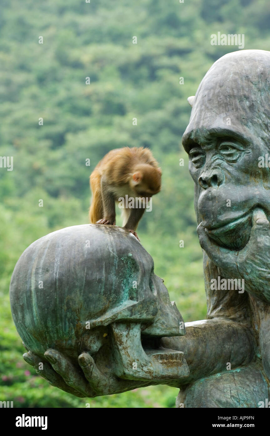 Monkey Island research park Hainan Province China Asia Stock Photo - Alamy