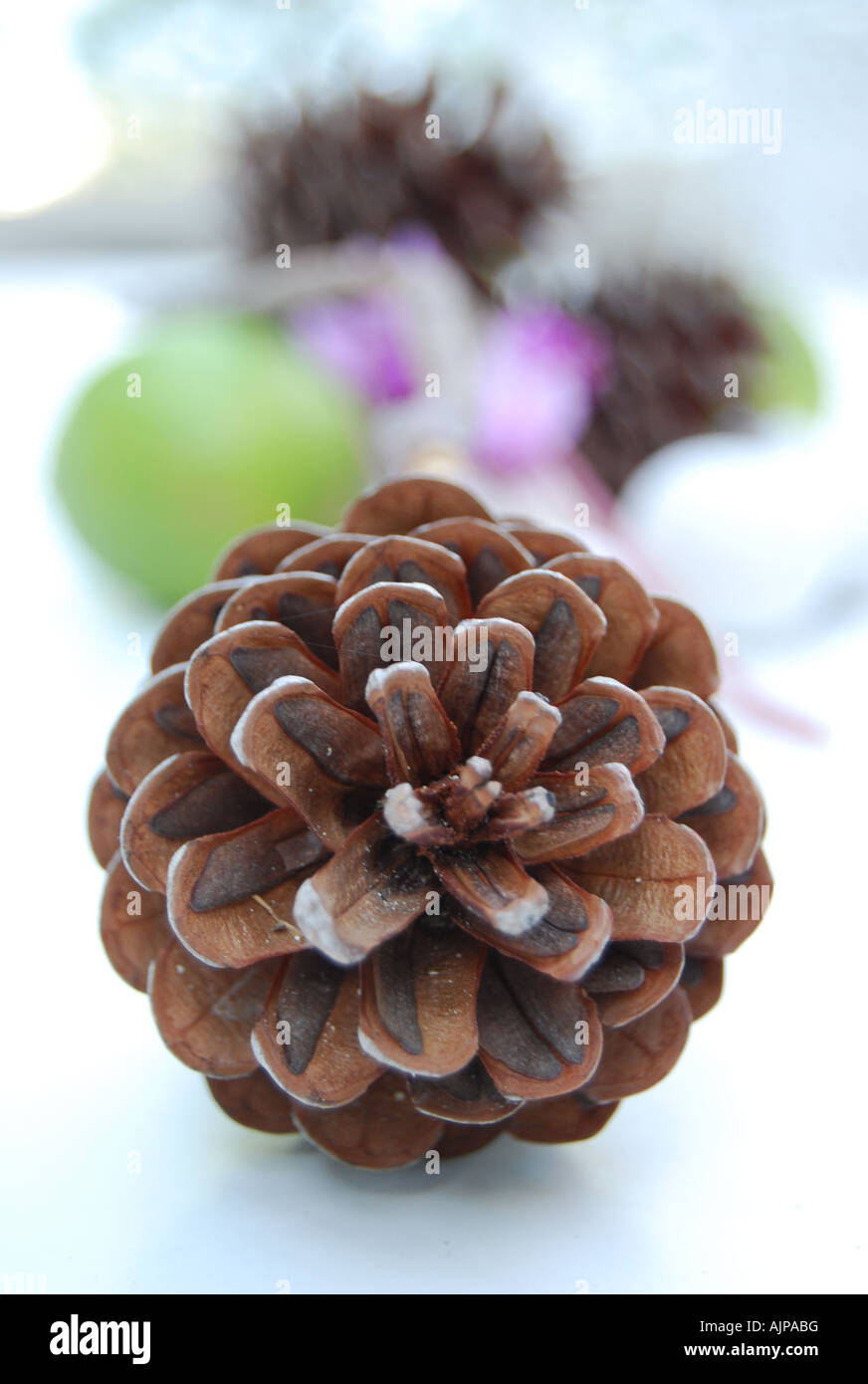 Cone shaped fruit hi-res stock photography and images - Alamy