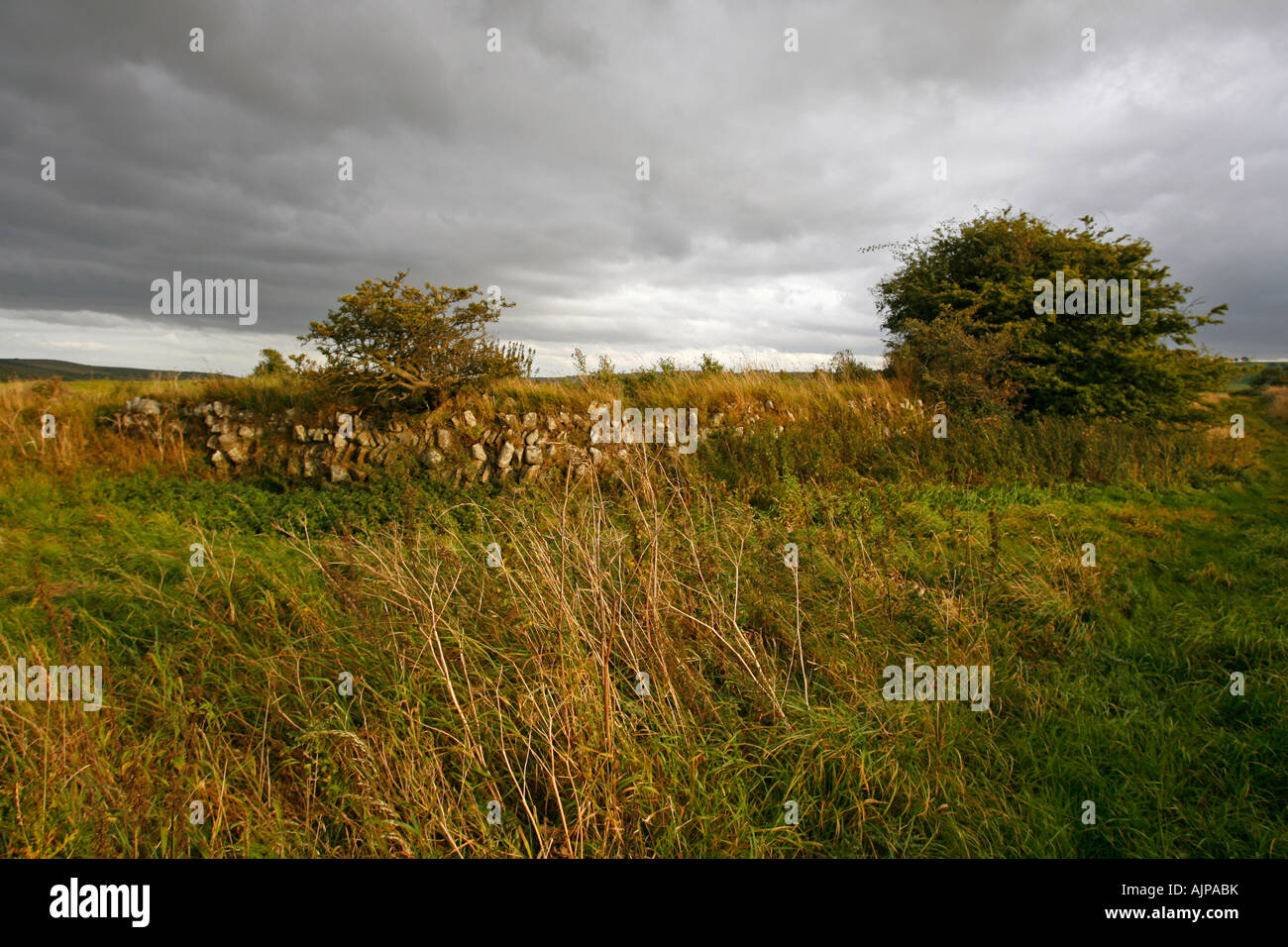 Lanchester Roman Fort Dere Street England UK Stock Photo - Alamy
