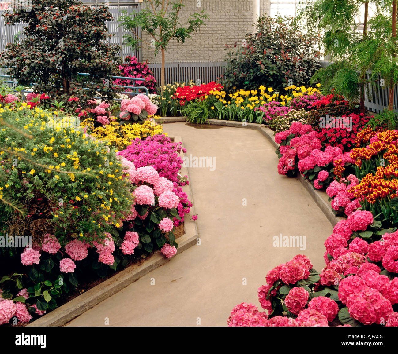 Pathway with flower beds and trees Stock Photo - Alamy