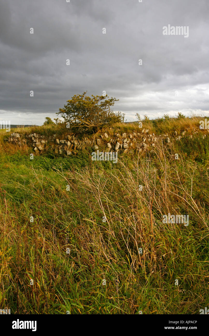 Lanchester Roman Fort Dere Street England UK Stock Photo - Alamy