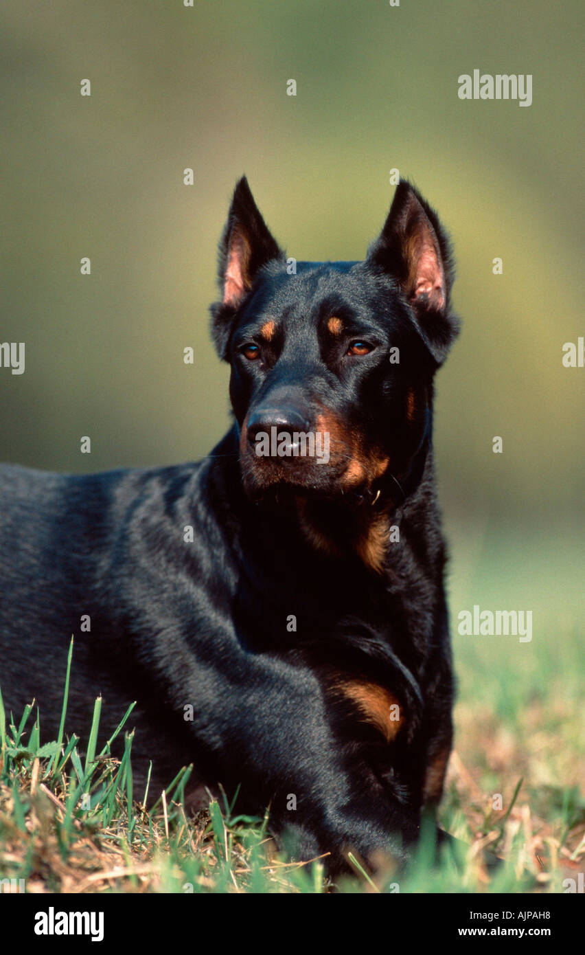 Cropped to portrait format hi-res stock photography and images - Alamy