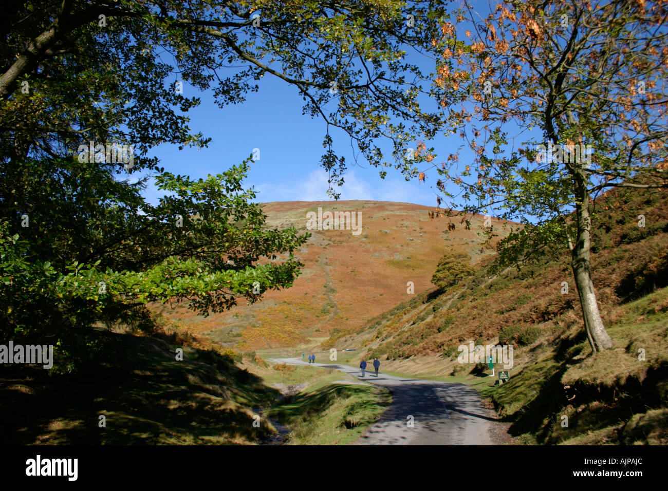 Carding mill valley autumn hi-res stock photography and images - Alamy