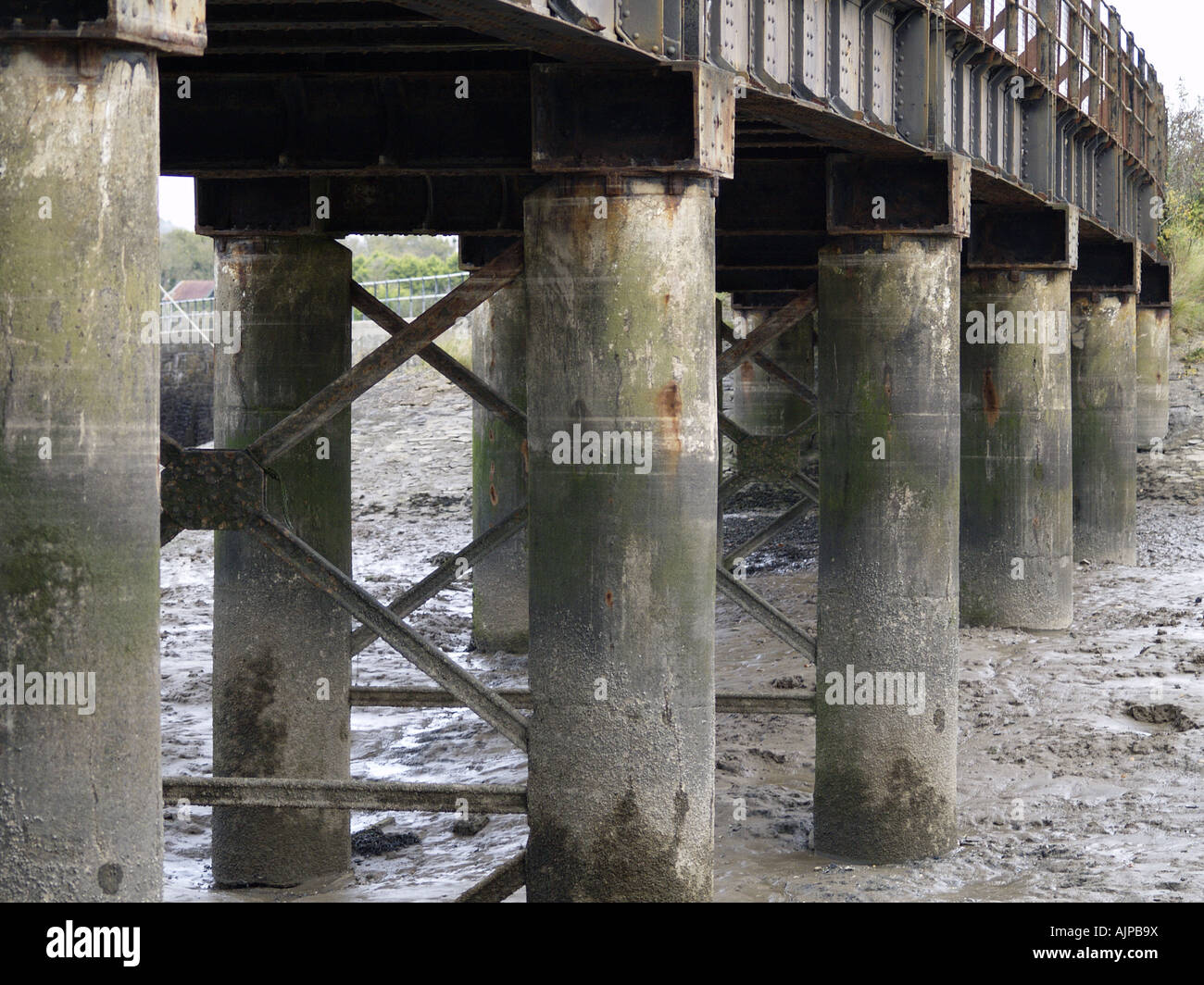 Close up of the stilts on an old railway bridge crossing a creek Stock ...
