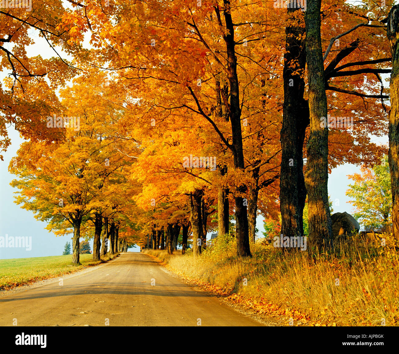 Fall colours in eastern townships hi-res stock photography and images ...