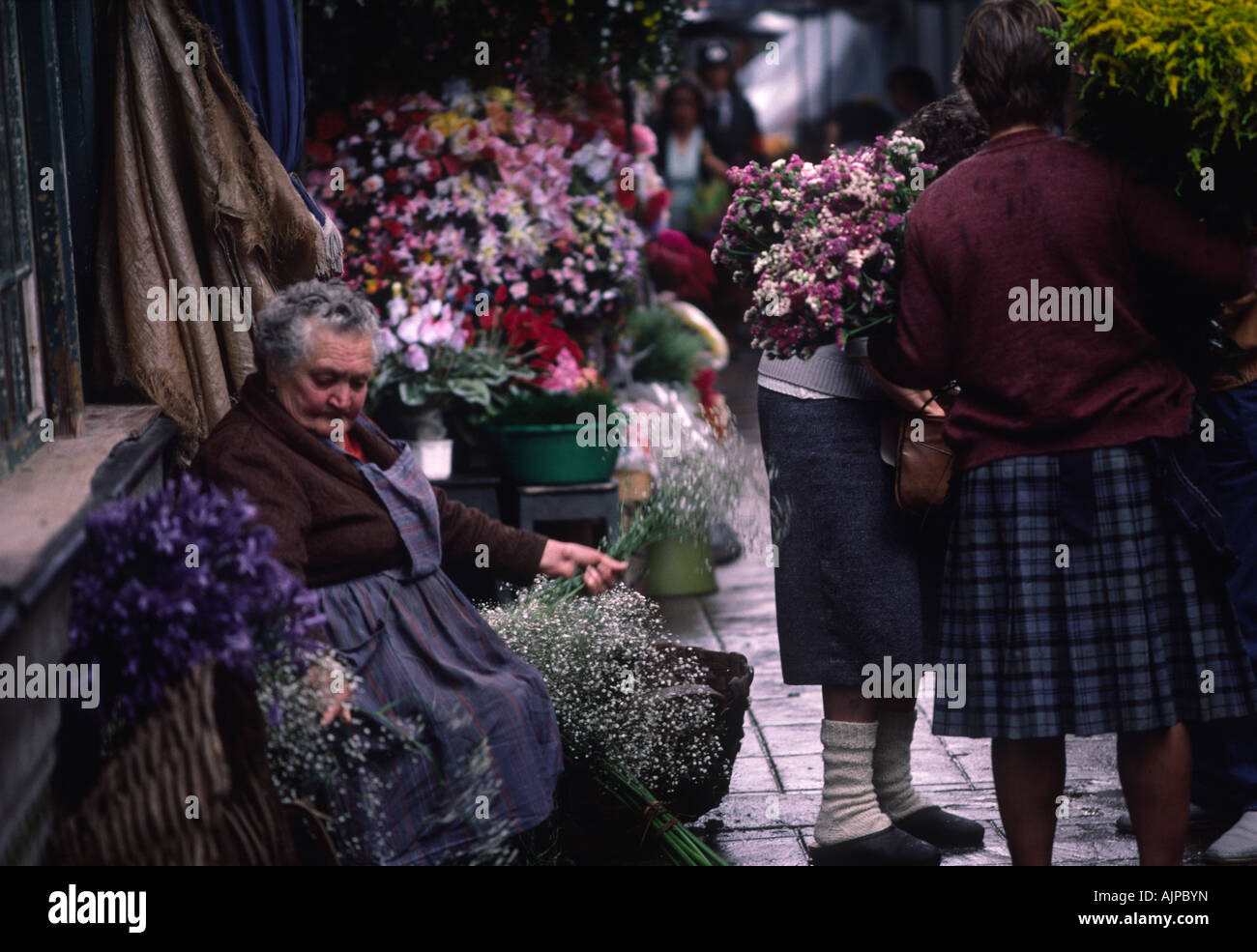 Portugese Flower seller at Bolhao market, Oporto, Portugal Stock Photo ...