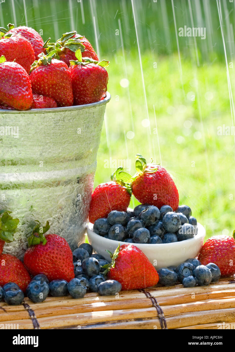 A bucket of fresh strawberries and blueberries in the morning rain get ...