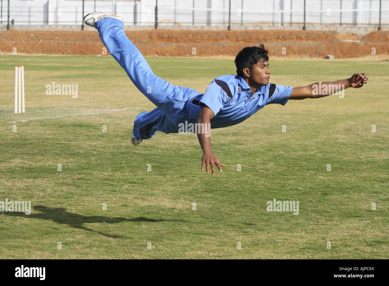 A fielder attempting to catch the ball Stock Photo - Alamy