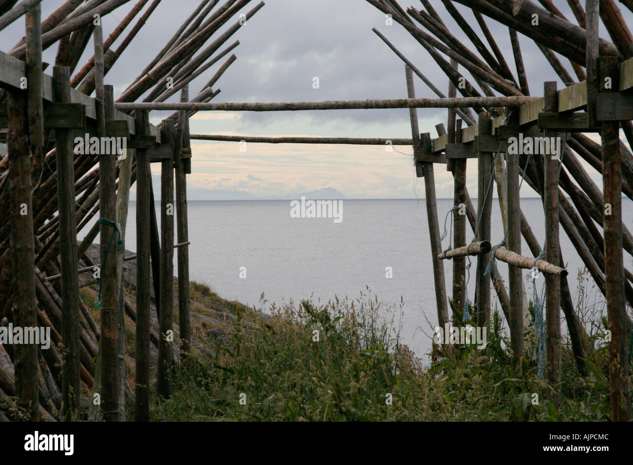 lofoten islands cod fish drying racks summertime norway european ...