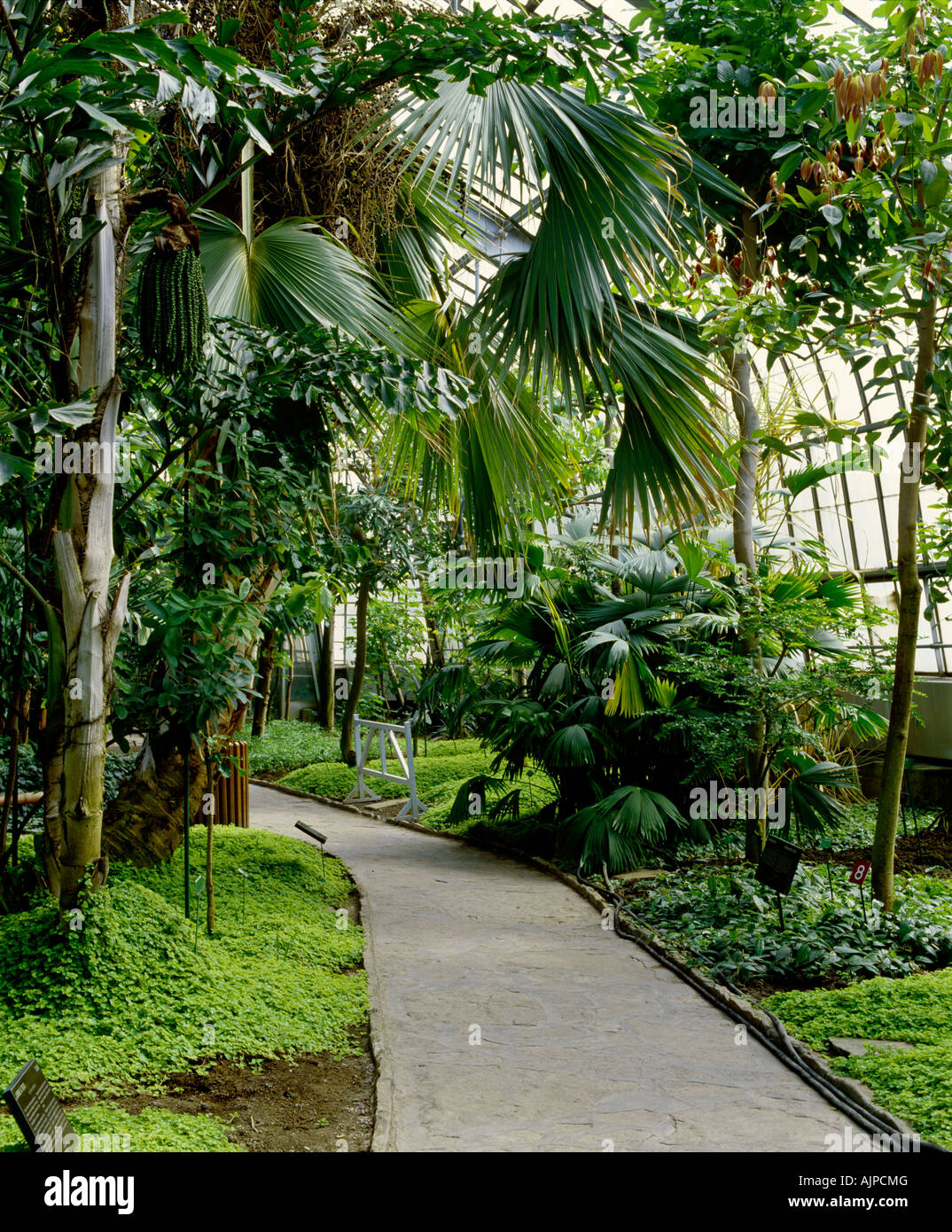 Pathway with trees and plants Stock Photo - Alamy