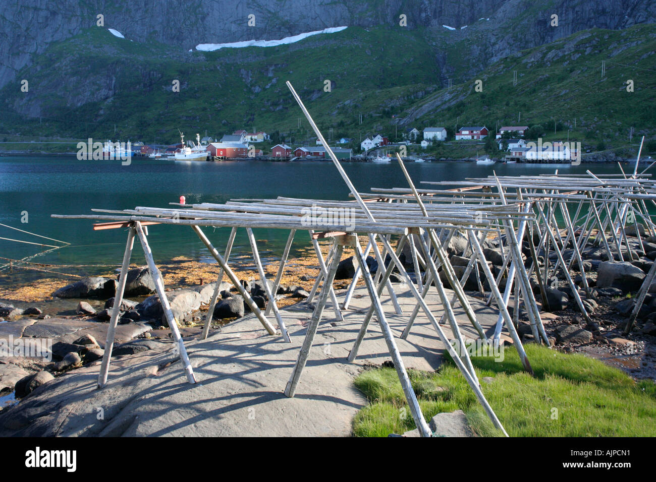 lofoten islands reine cod fish drying racks summertime norway european ...
