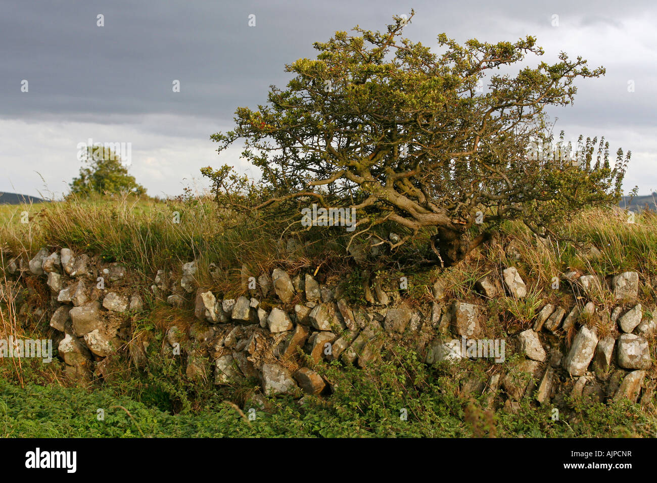 Lanchester Roman Fort Dere Street England UK Stock Photo - Alamy