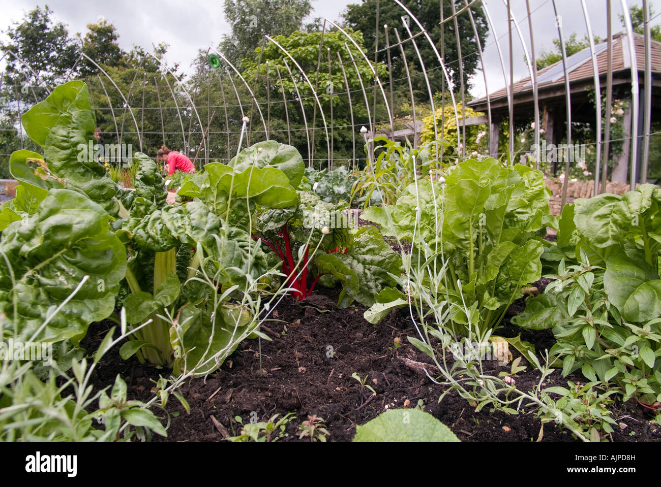 Biodynamic vegetables hi-res stock photography and images - Alamy