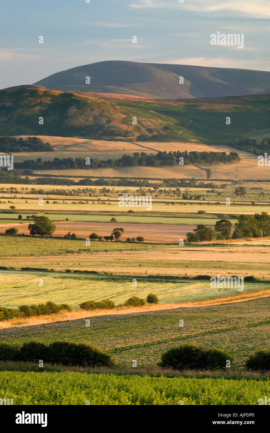 Doddington park hi-res stock photography and images - Alamy