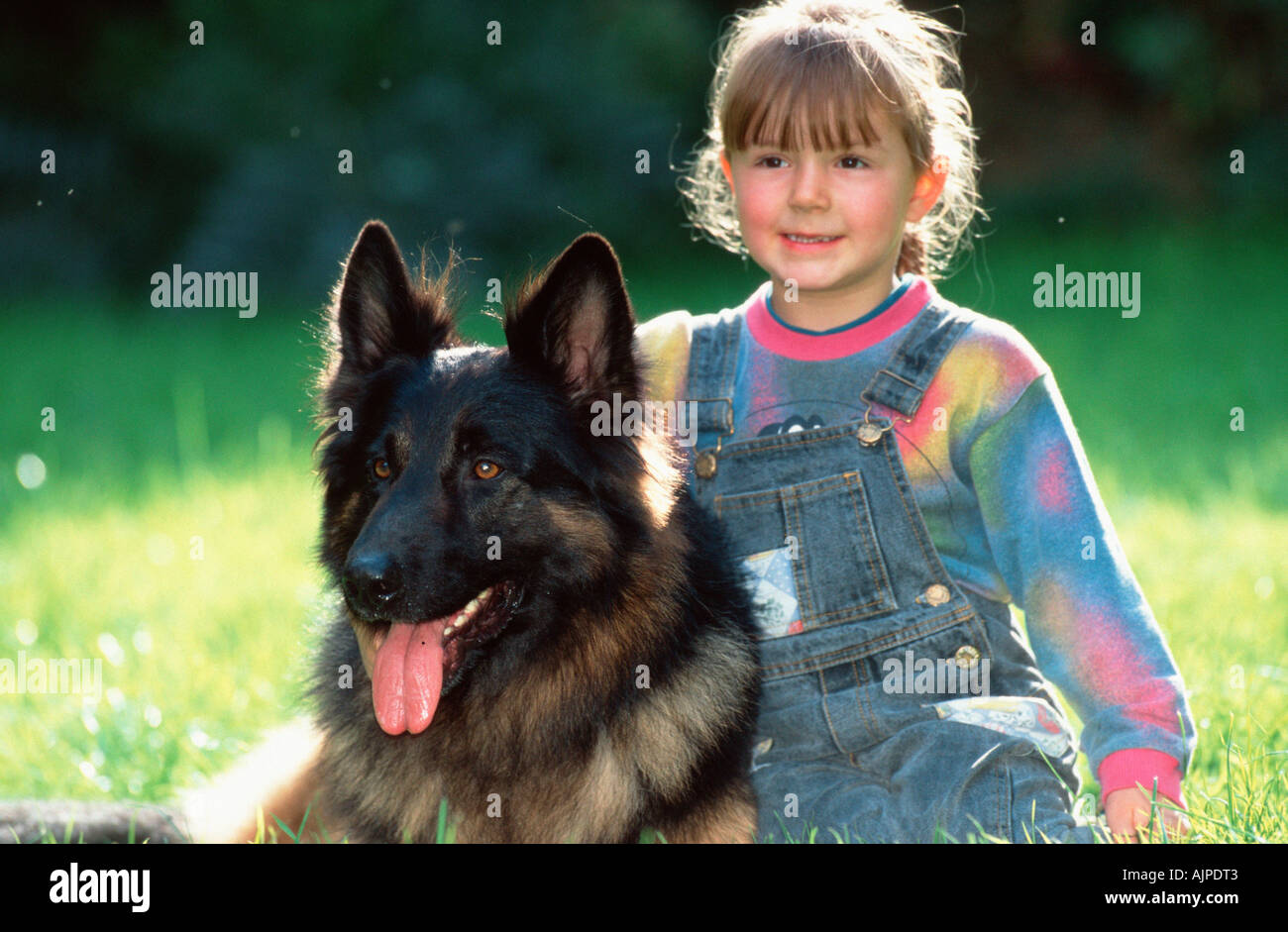 Girl with German Shepherd Dog Alsatian Stock Photo - Alamy
