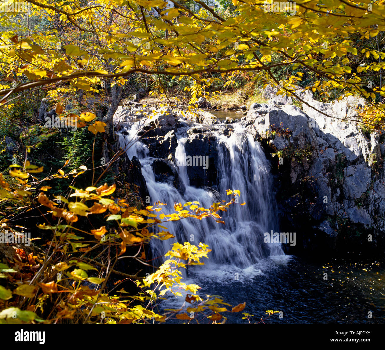 Small waterfall among trees Stock Photo - Alamy