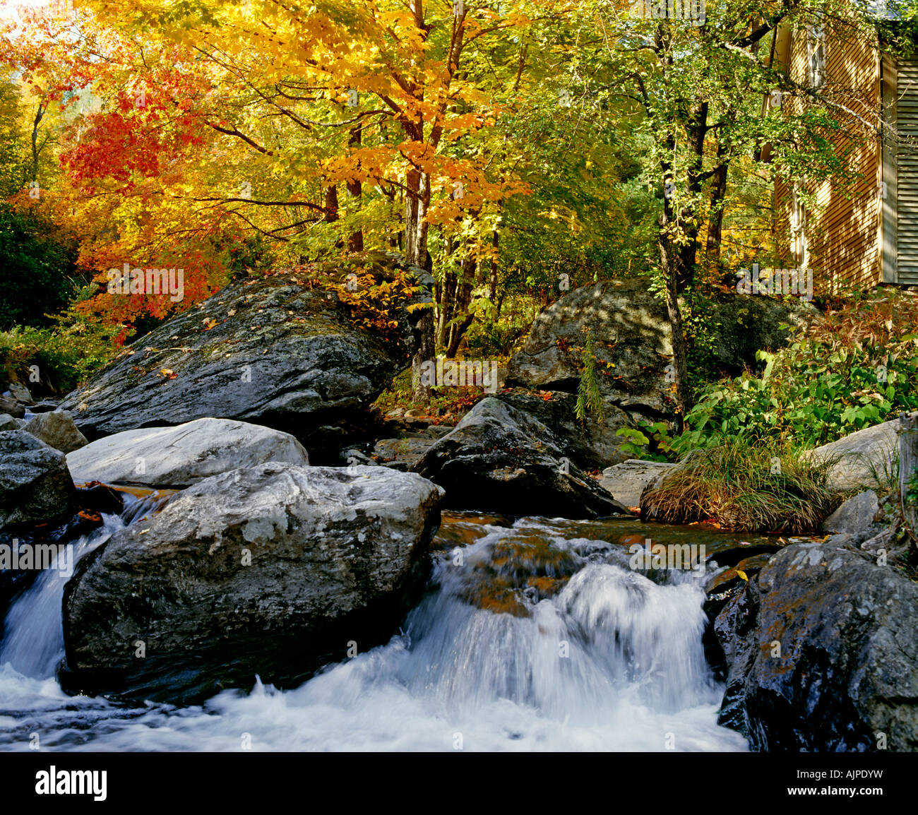 River in autumn Stock Photo - Alamy