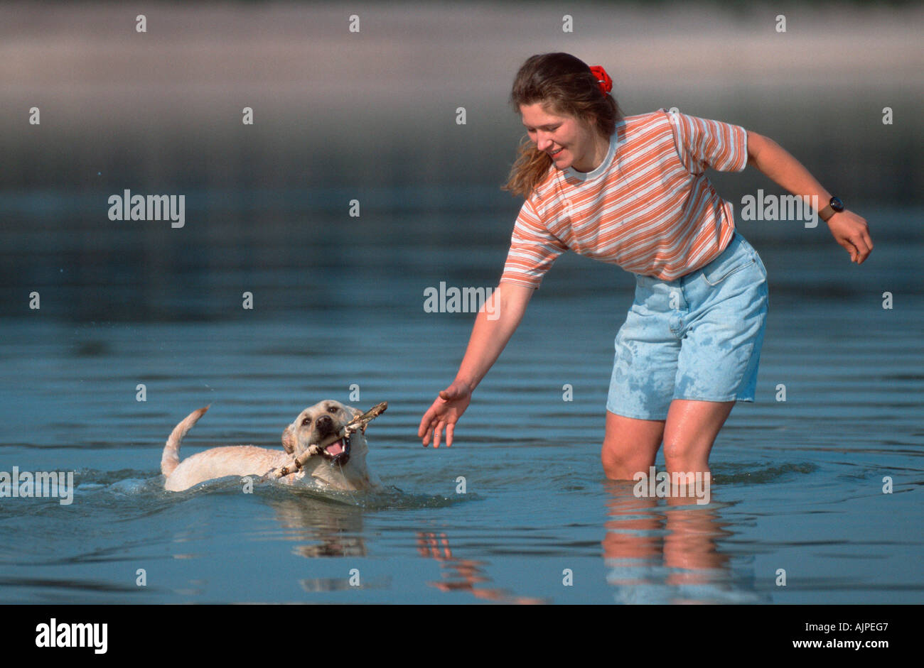 Woman with Labrador Retriever Stock Photo - Alamy