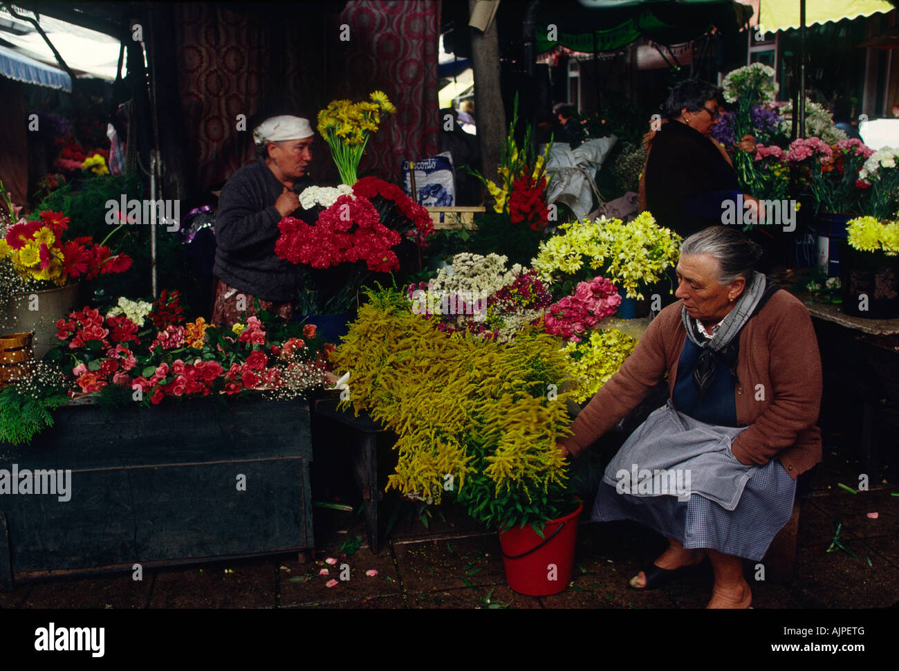 Portugese flower sellers, Bolhão market, Oporto, Portugal Stock Photo ...