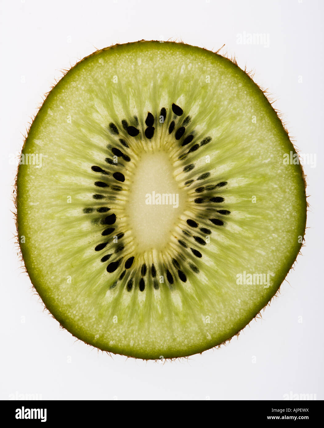 Close up of single kiwi fruit slice on white background Stock Photo - Alamy