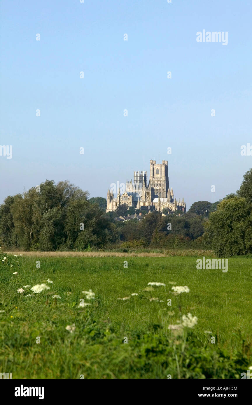 Ely cathedral viewed from South East across fields Cambridgeshire UK ...