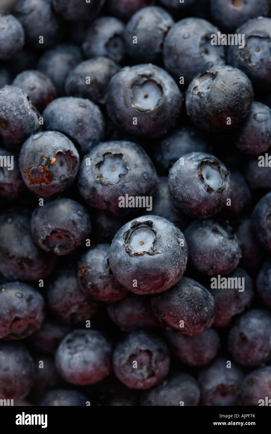 Pile of blueberries Stock Photo - Alamy