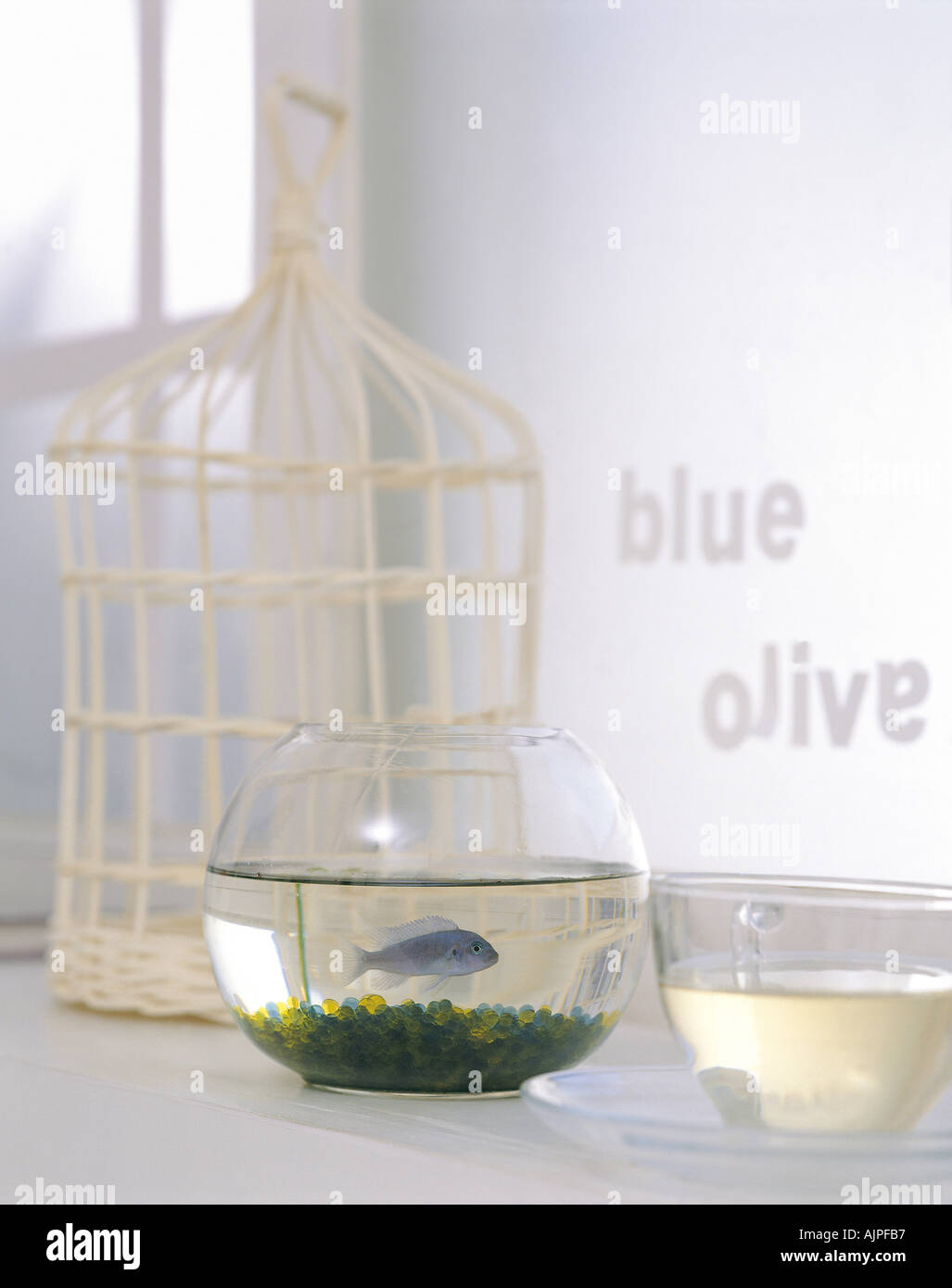 Globe fish bowl hi-res stock photography and images - Alamy