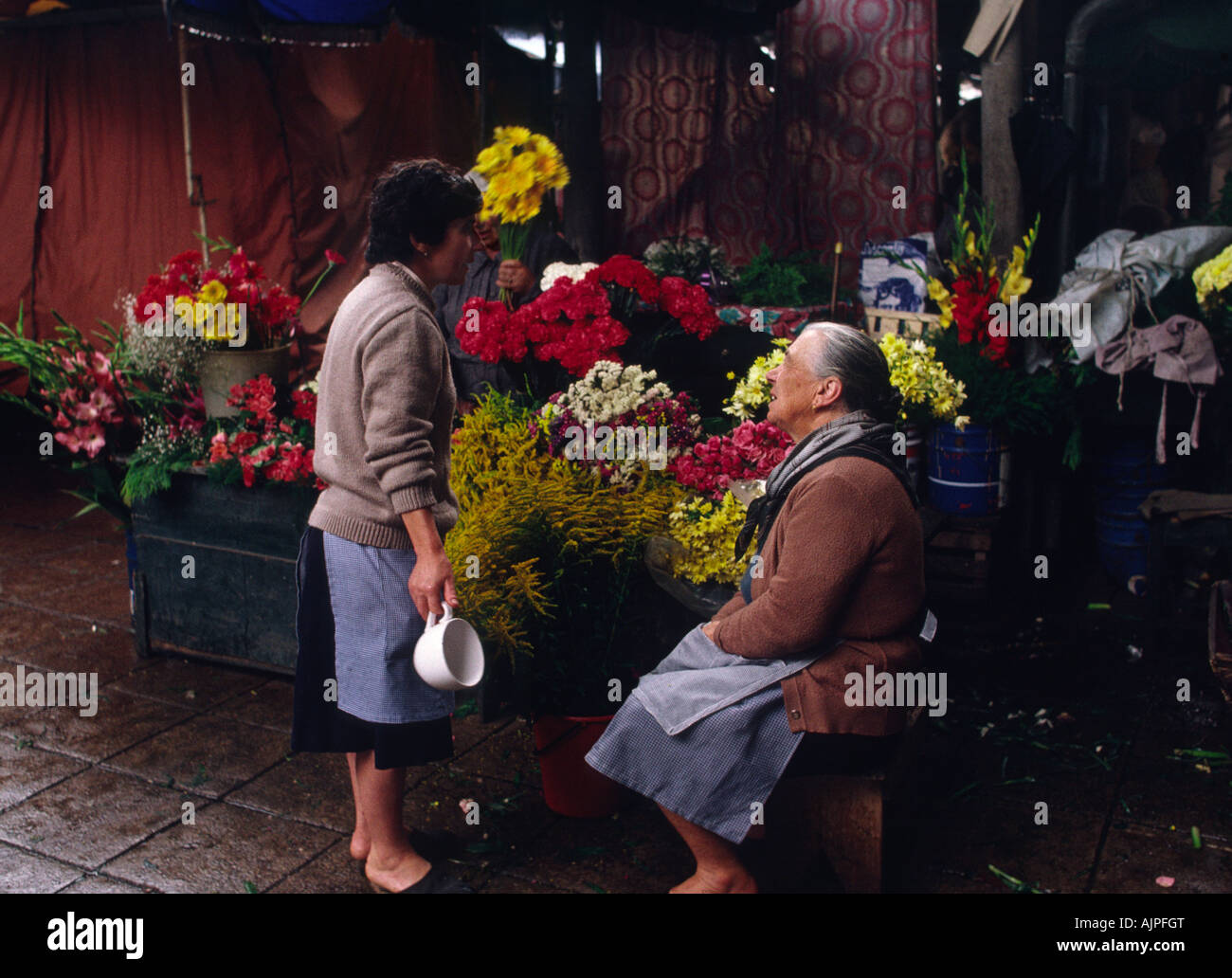Porto food market portugal hi-res stock photography and images - Alamy