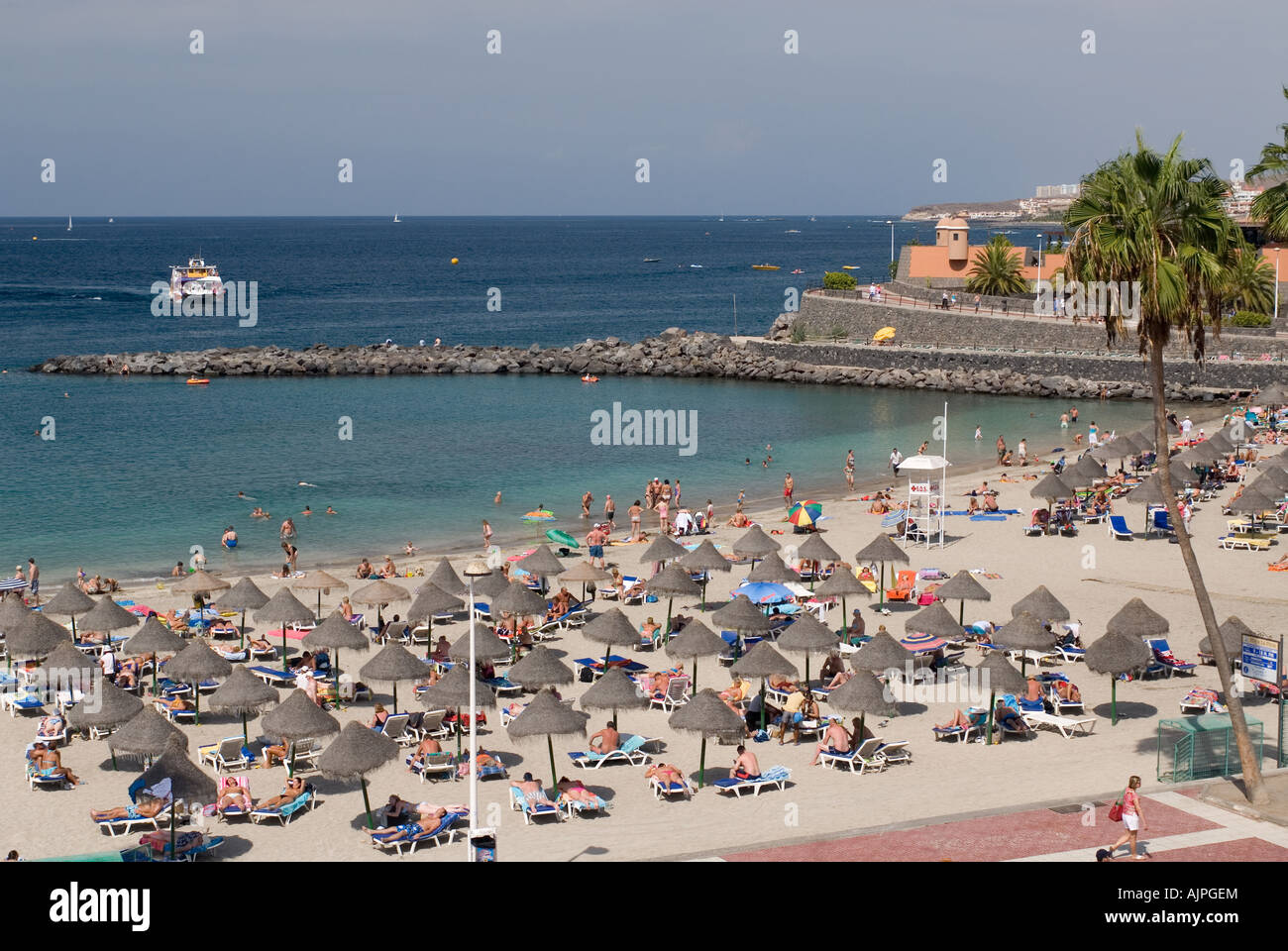Playa La Pinta Playa de las Americas Tenerife Canary Islands Spain ...
