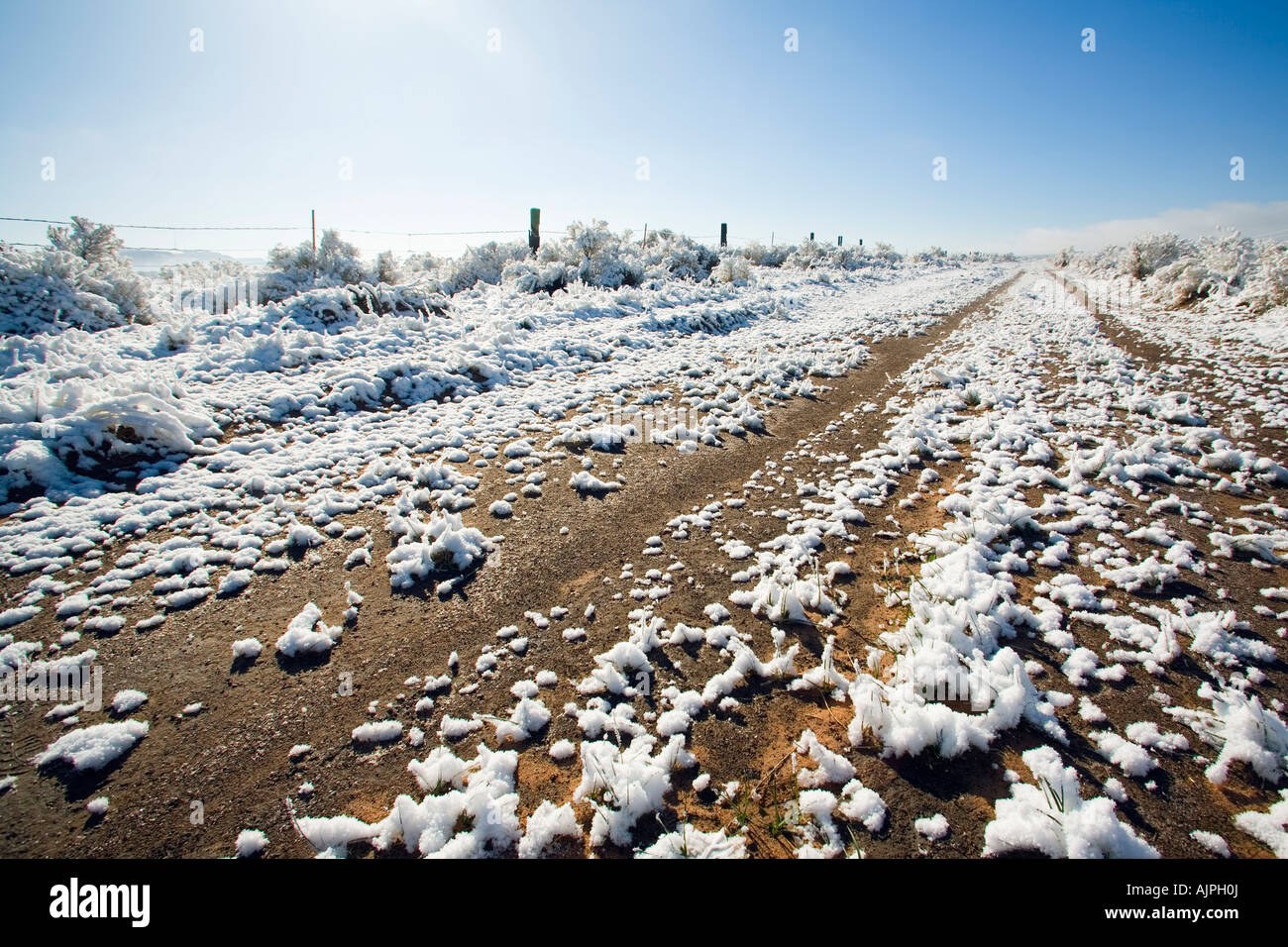 Melting snow on dirt road Stock Photo - Alamy