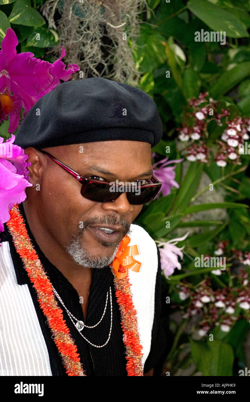 Hawaii film festival hi-res stock photography and images - Alamy