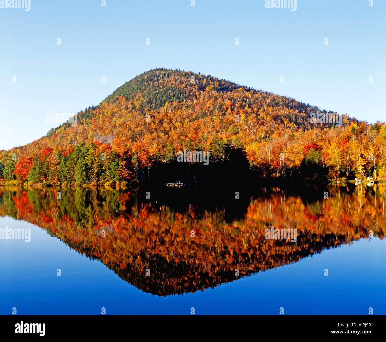 Autumn colours reflected in water, Eastern Townships, Quebec, Canada ...