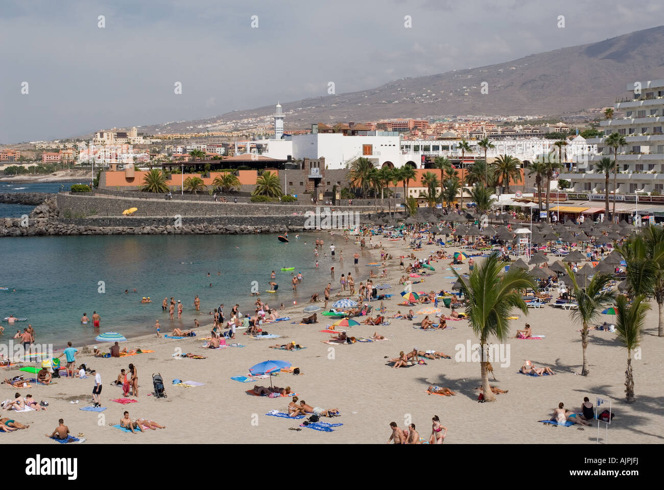 Playa La Pinta Playa de las Americas Tenerife Canary Islands Spain ...