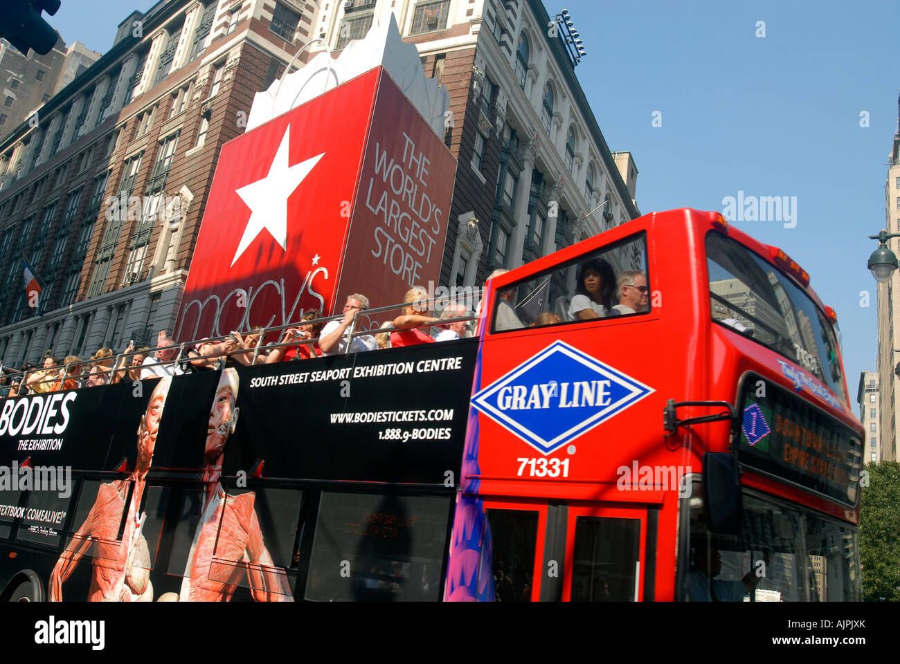 Grayline hi-res stock photography and images - Alamy