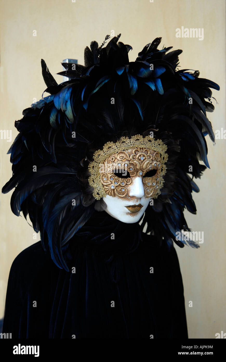 Jewelled mask and feathered headdress Venice Italy Stock Photo - Alamy