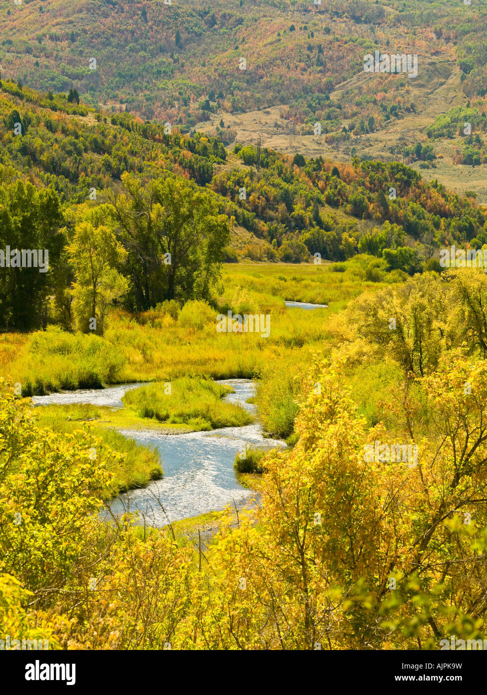 a creek and fall color foliage in a canyon Stock Photo - Alamy