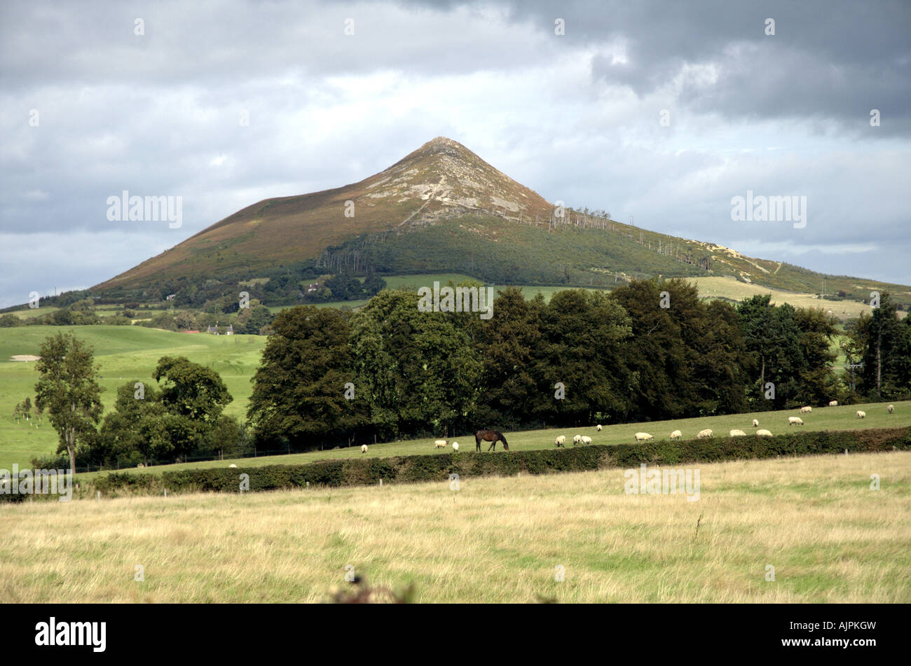 Little sugarloaf mountain hi-res stock photography and images - Alamy