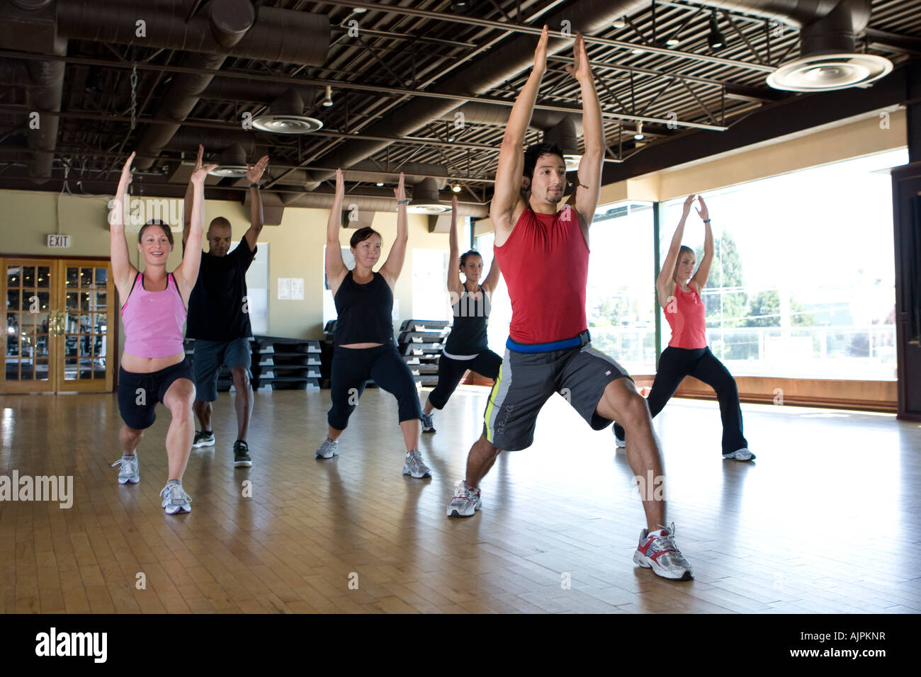 fit male and female group working out on aerobic exercises in a gym ...