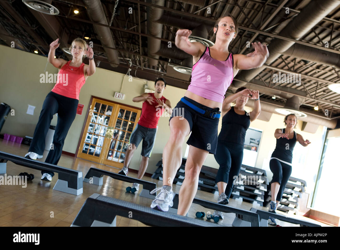 fit male and female group working out on aerobic exercises in a gym ...