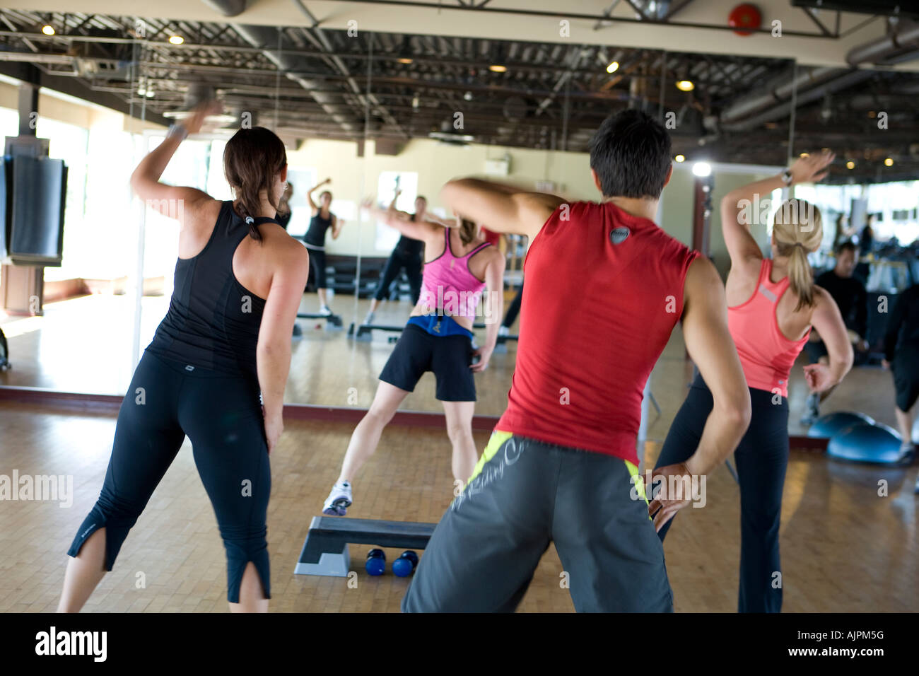 fit male and female group working out on aerobic exercises in a gym ...