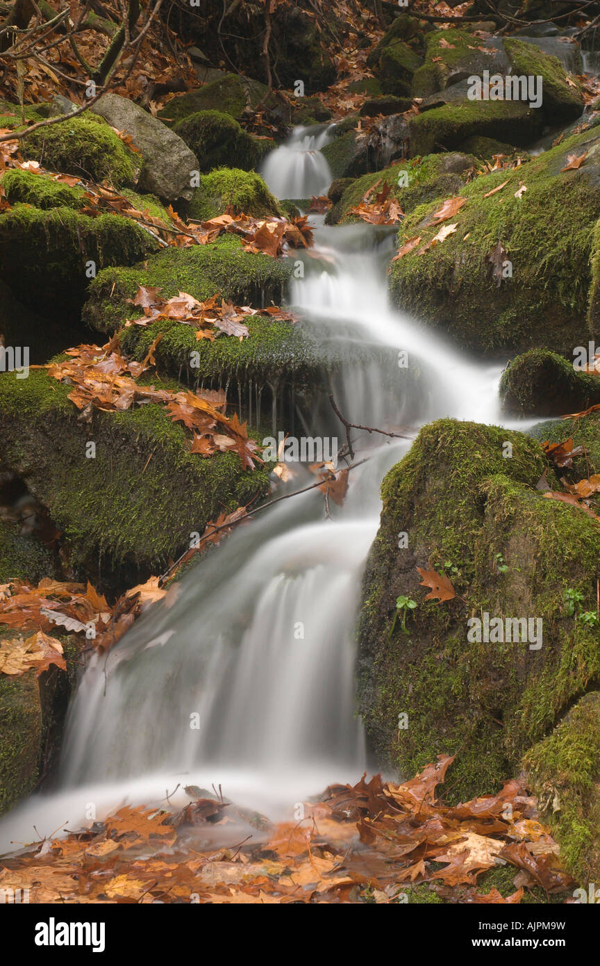 Cascading Stream, Great Smoky Mountains National Park Stock Photo - Alamy