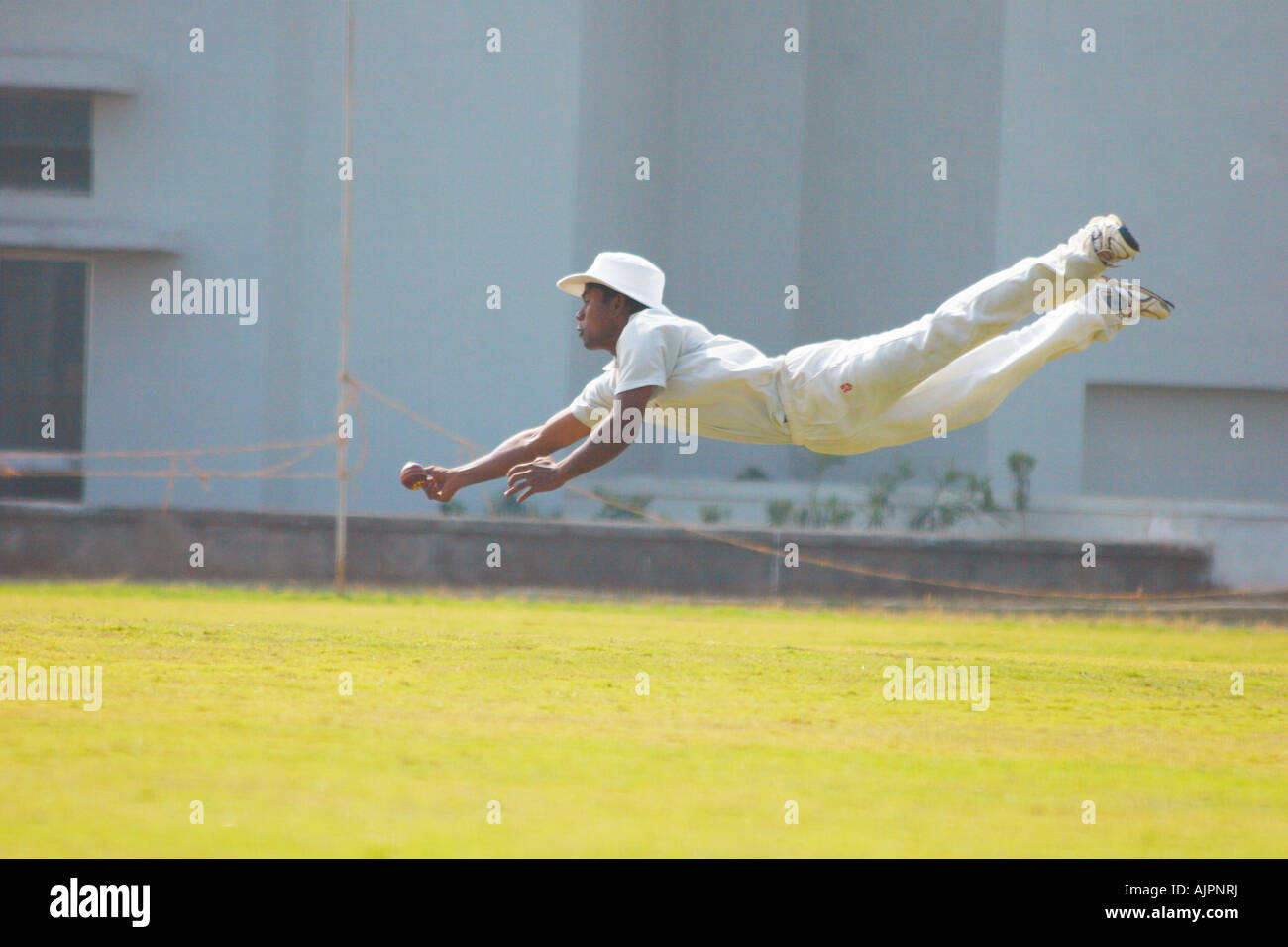 A fielder in action Stock Photo - Alamy
