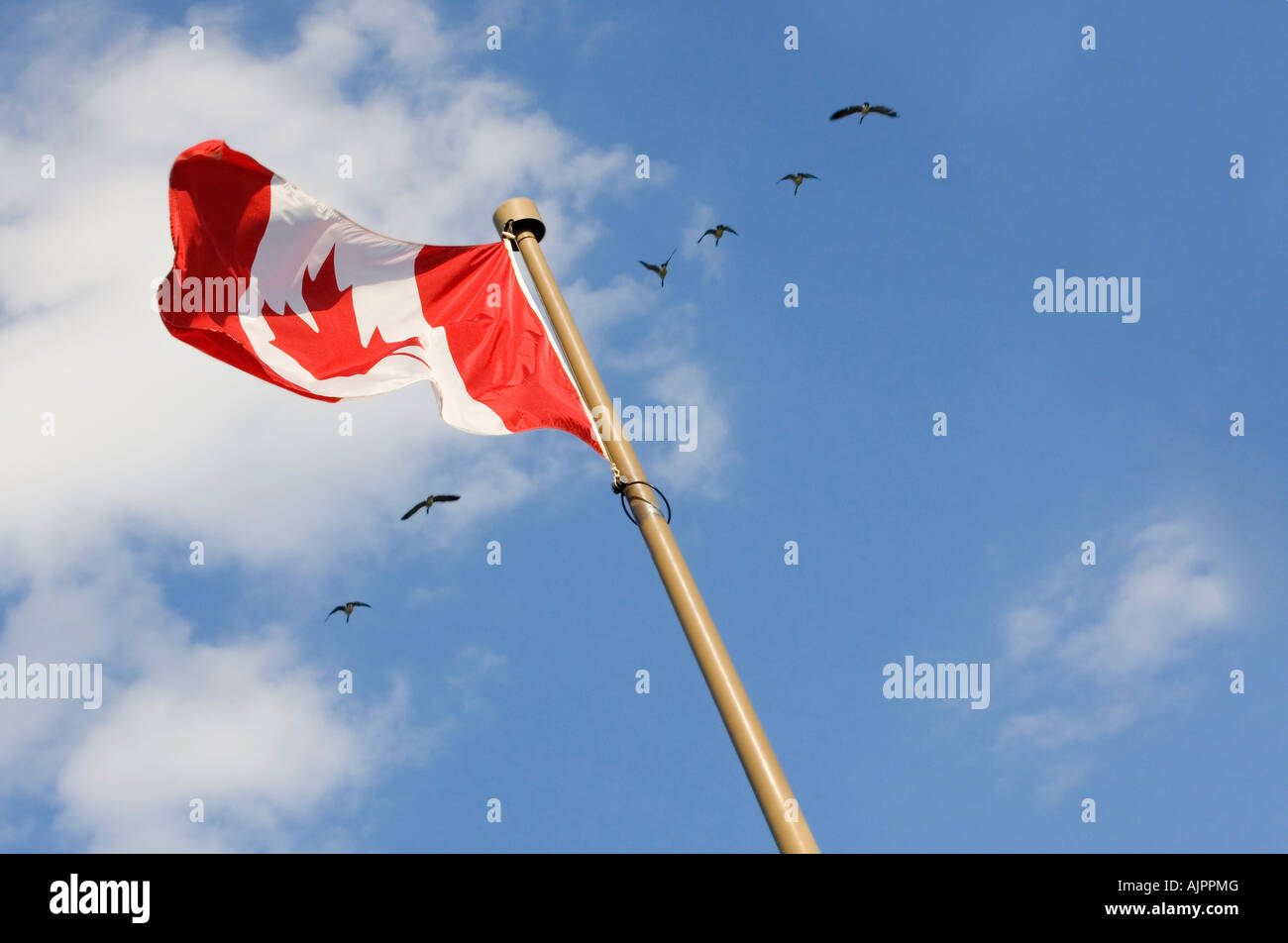 Mapsglobesandflags hi-res stock photography and images - Alamy