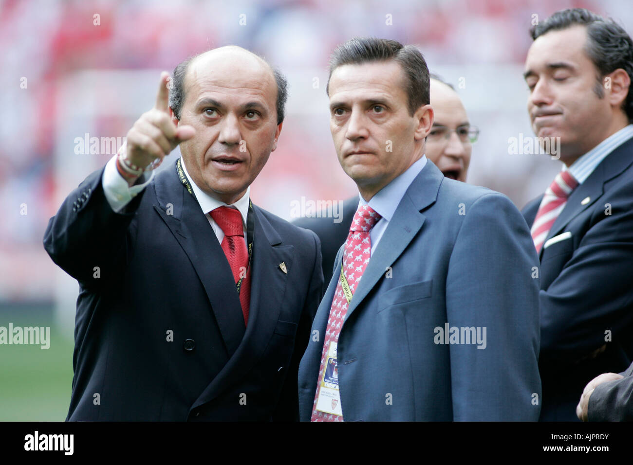 Rey del nido hi-res stock photography and images - Alamy
